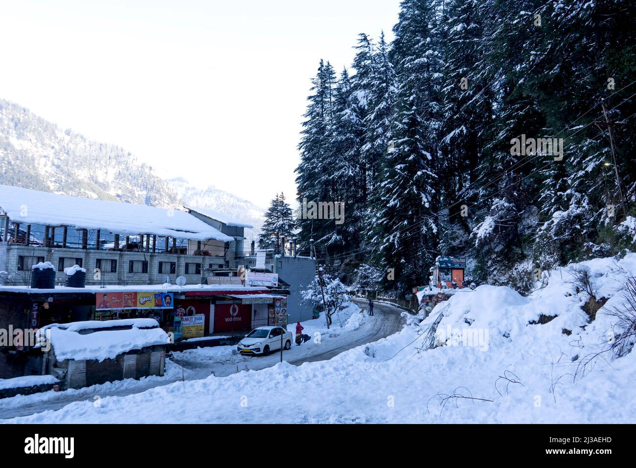 Hadimba Devi Temple is surrounded by thick deodar forests and was built ...