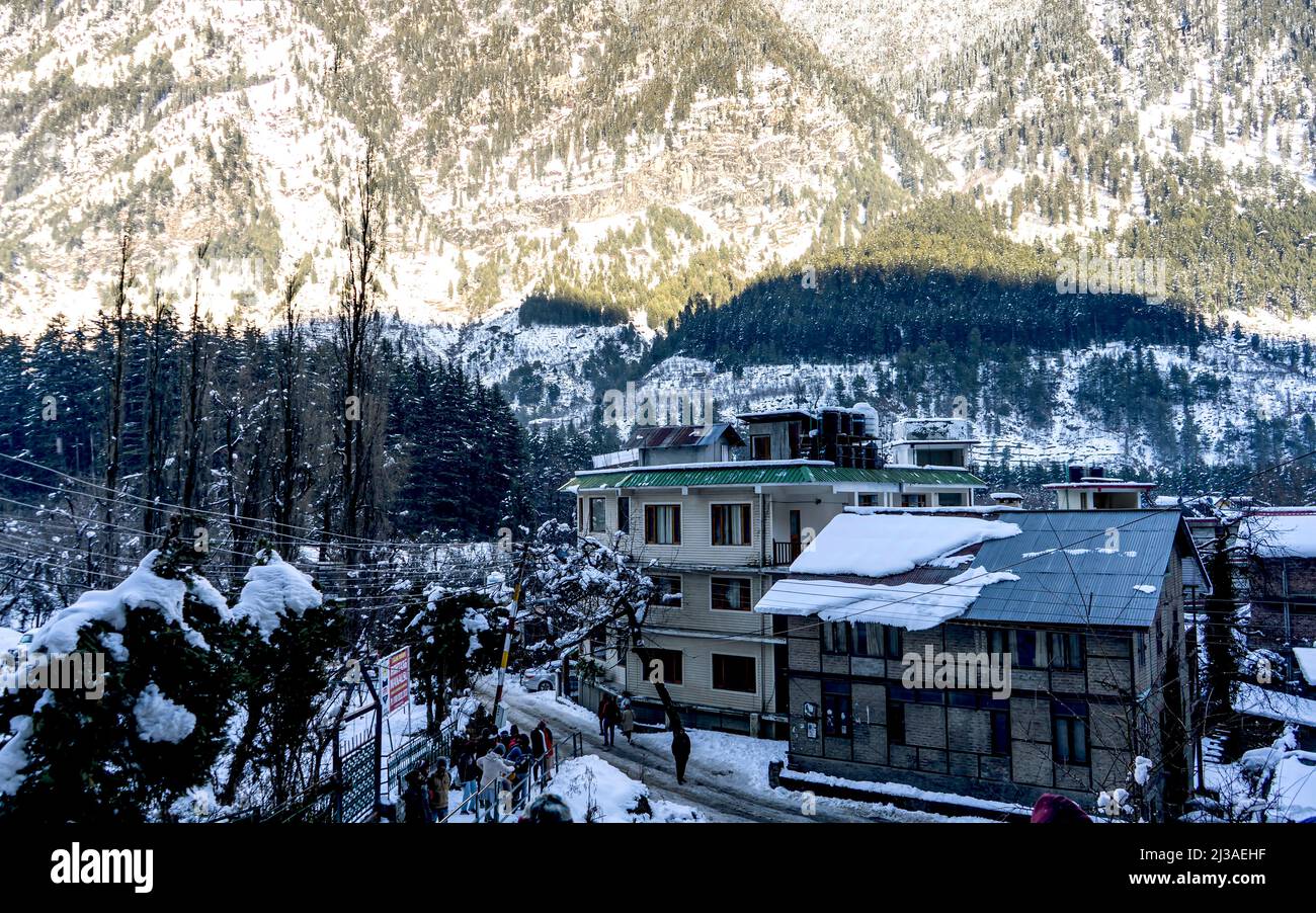 Hadimba Devi Temple is surrounded by thick deodar forests and was built ...