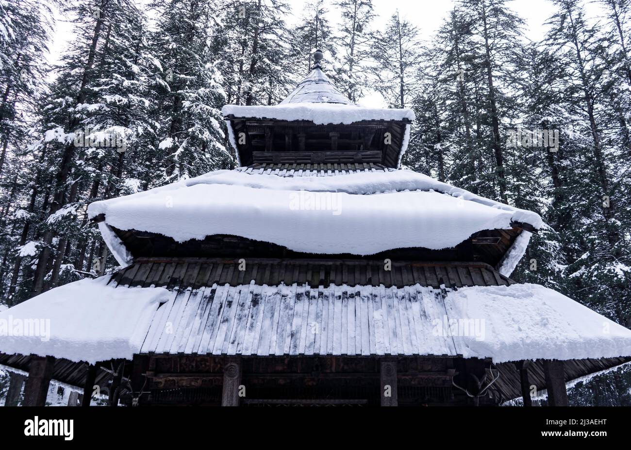 Hadimba Devi Temple is surrounded by thick deodar forests and was built ...