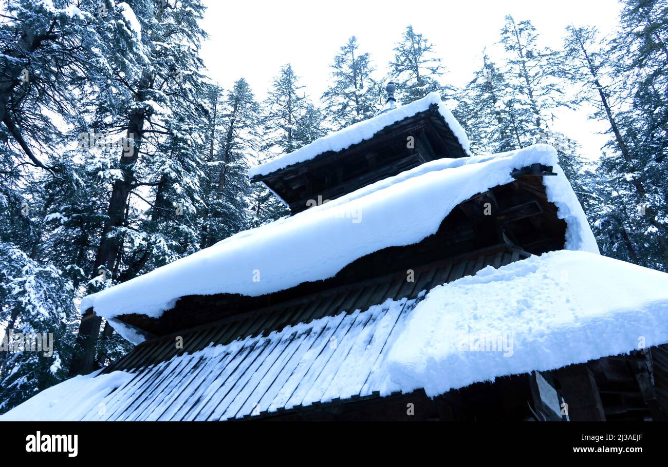 Hadimba Devi Temple is surrounded by thick deodar forests and was built ...