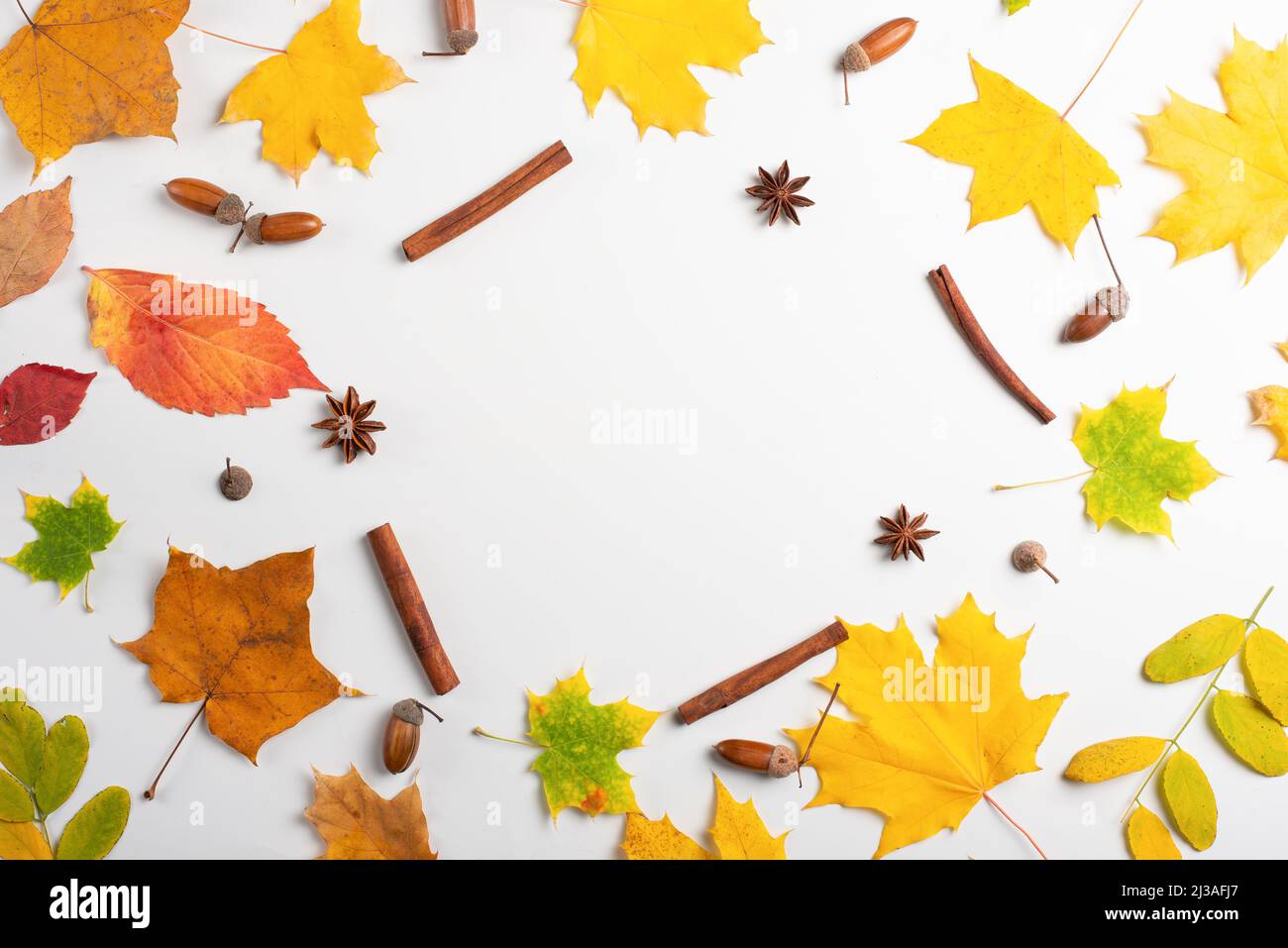 autumn fall flat lay, top view creative pattern arrangement Stock Photo ...