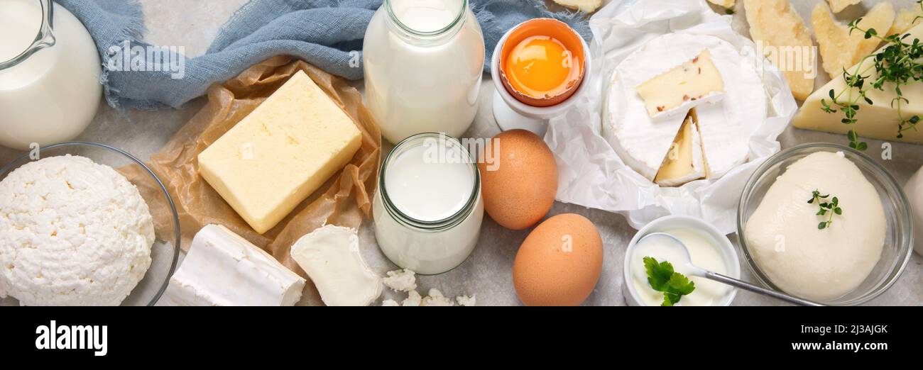 Fresh diary products on light background. Halthy food concept. panorama ...