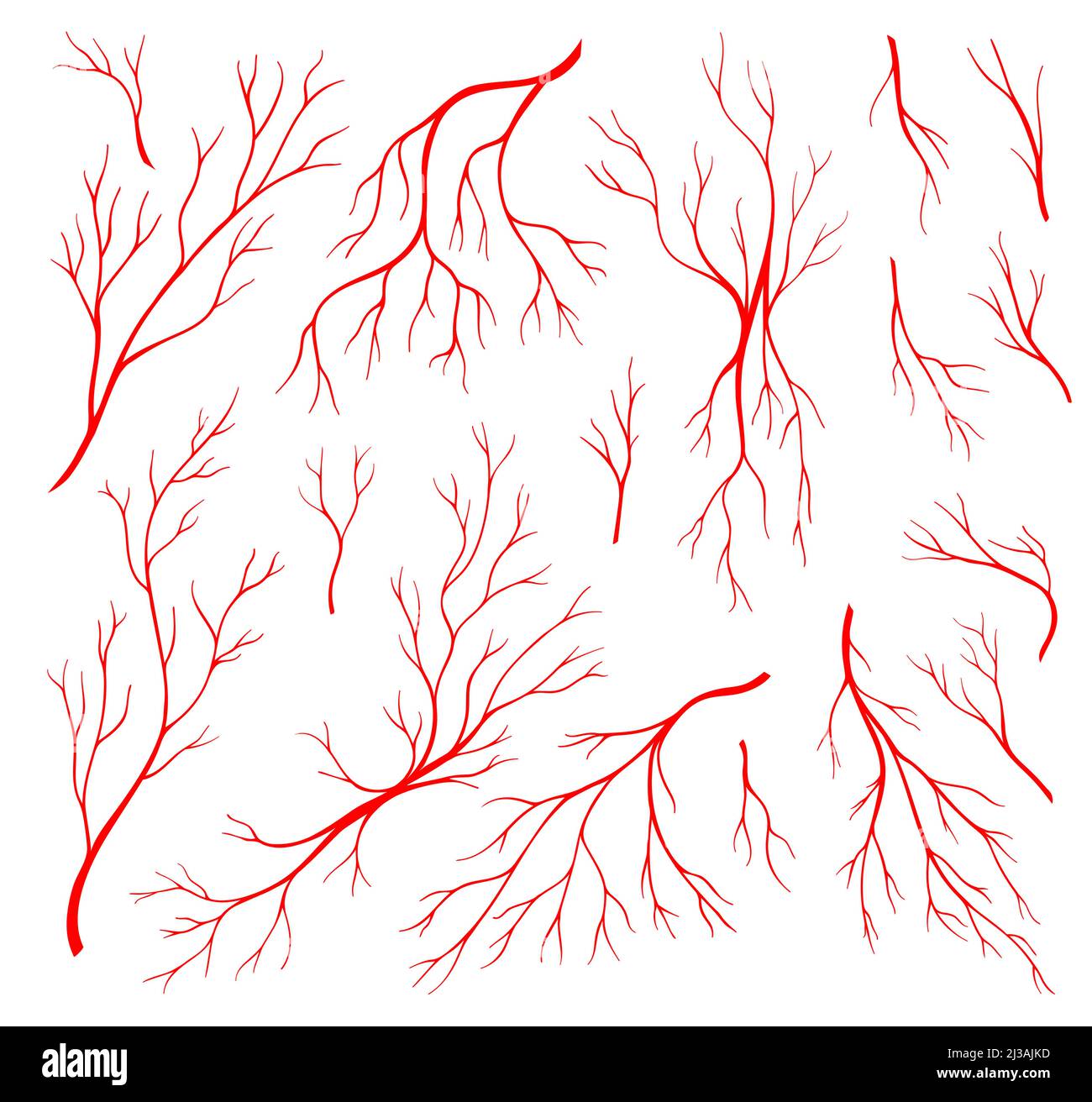 Red human veins, anatomy blood veins and artery or eye capillary ...