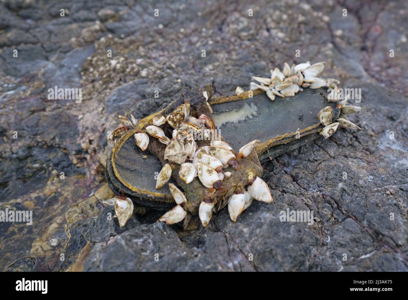 Dirty environment hi-res stock photography and images - Alamy