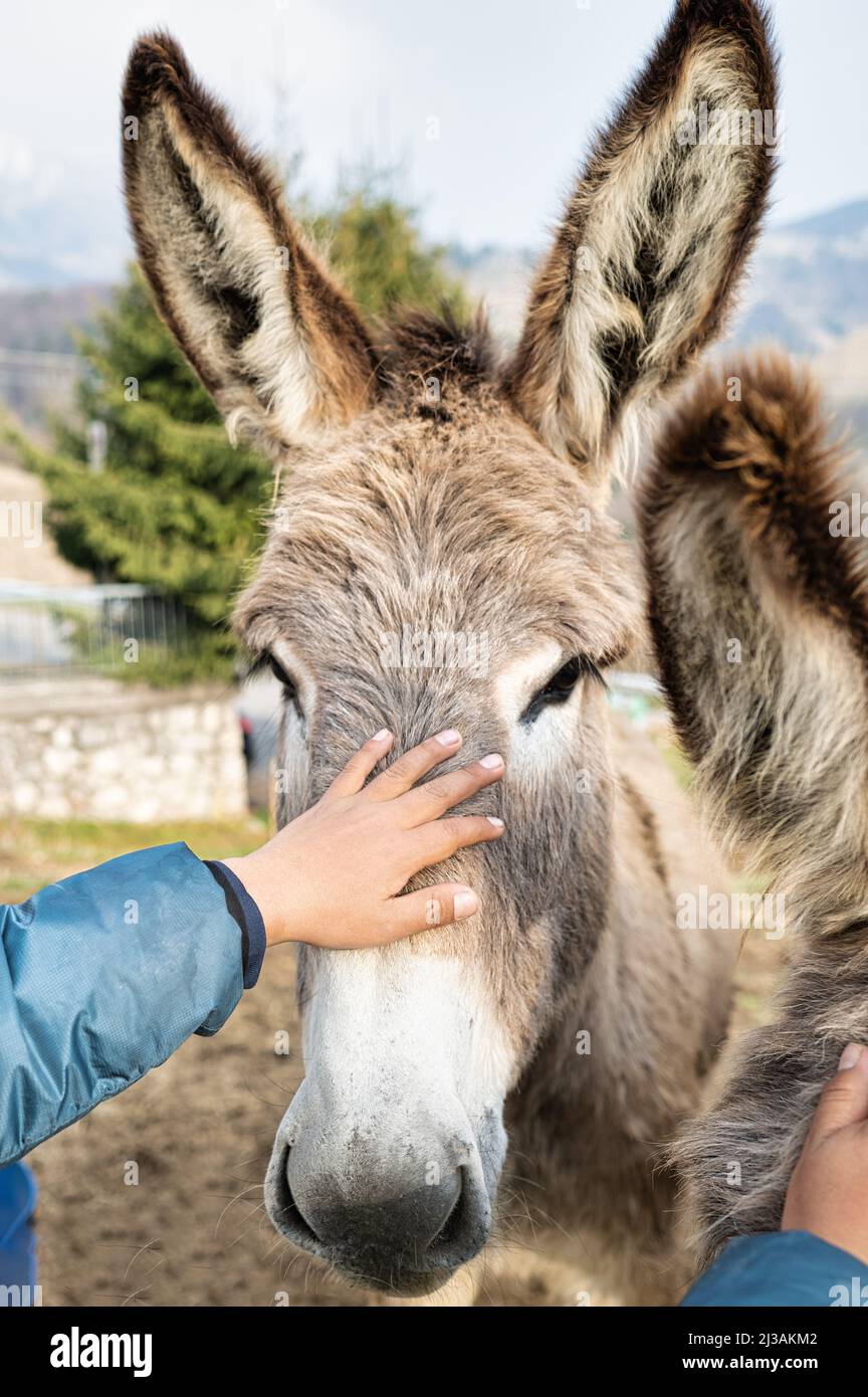 Caressed hi-res stock photography and images - Alamy