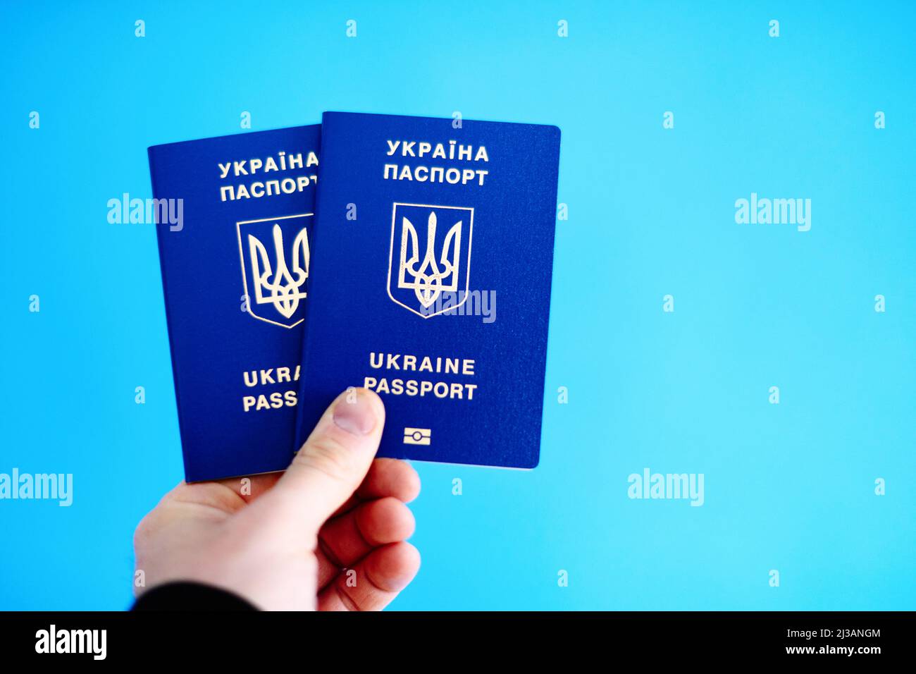Image Of A Persons Hand Holding Two Passports Of Ukraine On Isolated