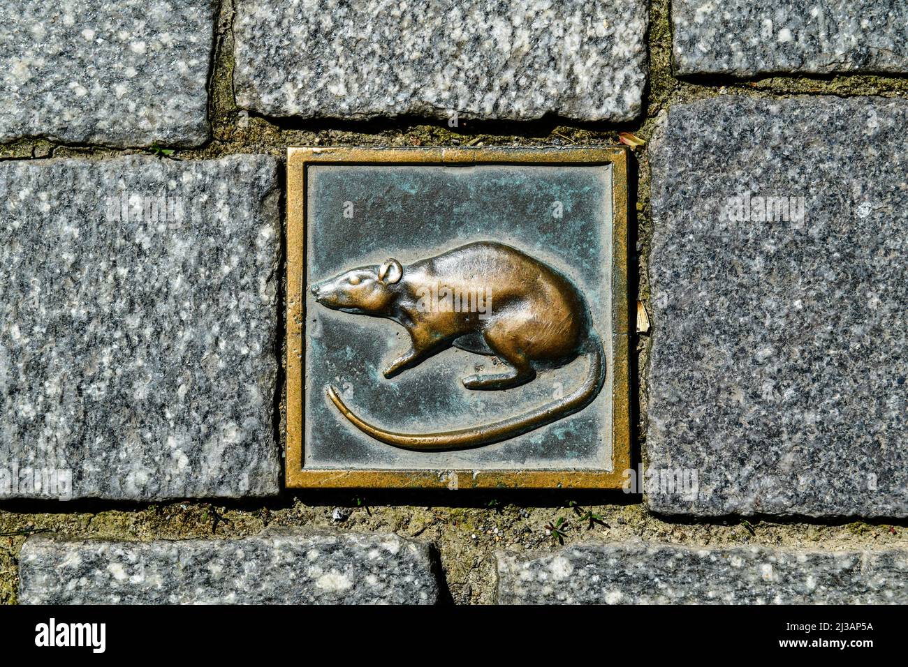Paving stone, Pied Piper symbol, tourist route, Hamelin, Lower Saxony ...