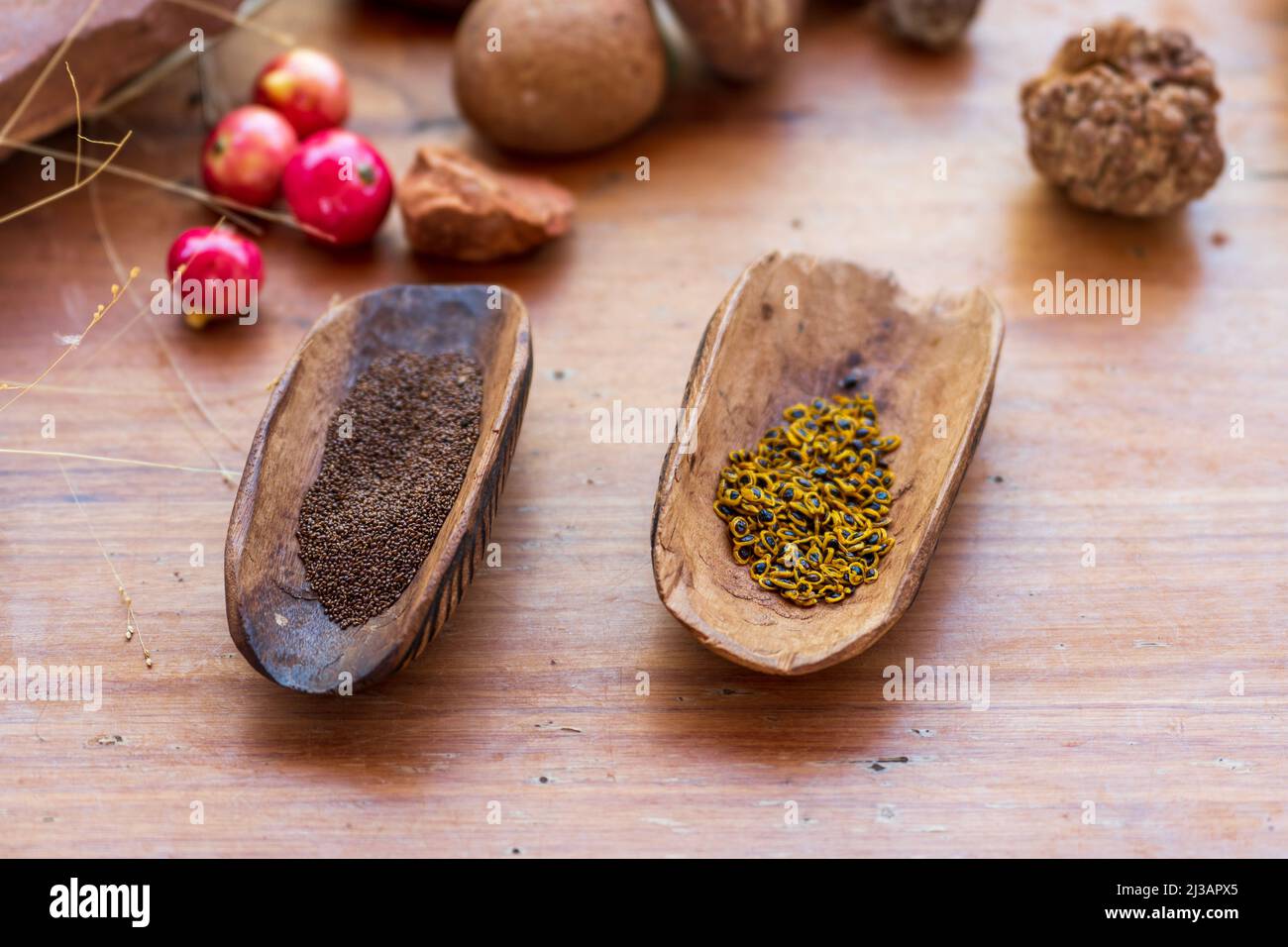 Aboriginal food hi-res stock photography and images - Alamy