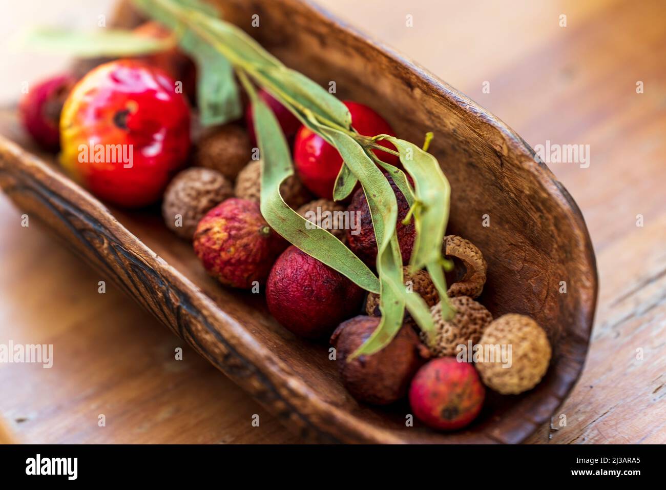 Australian Bush Food Entrees at Ann Sexton blog