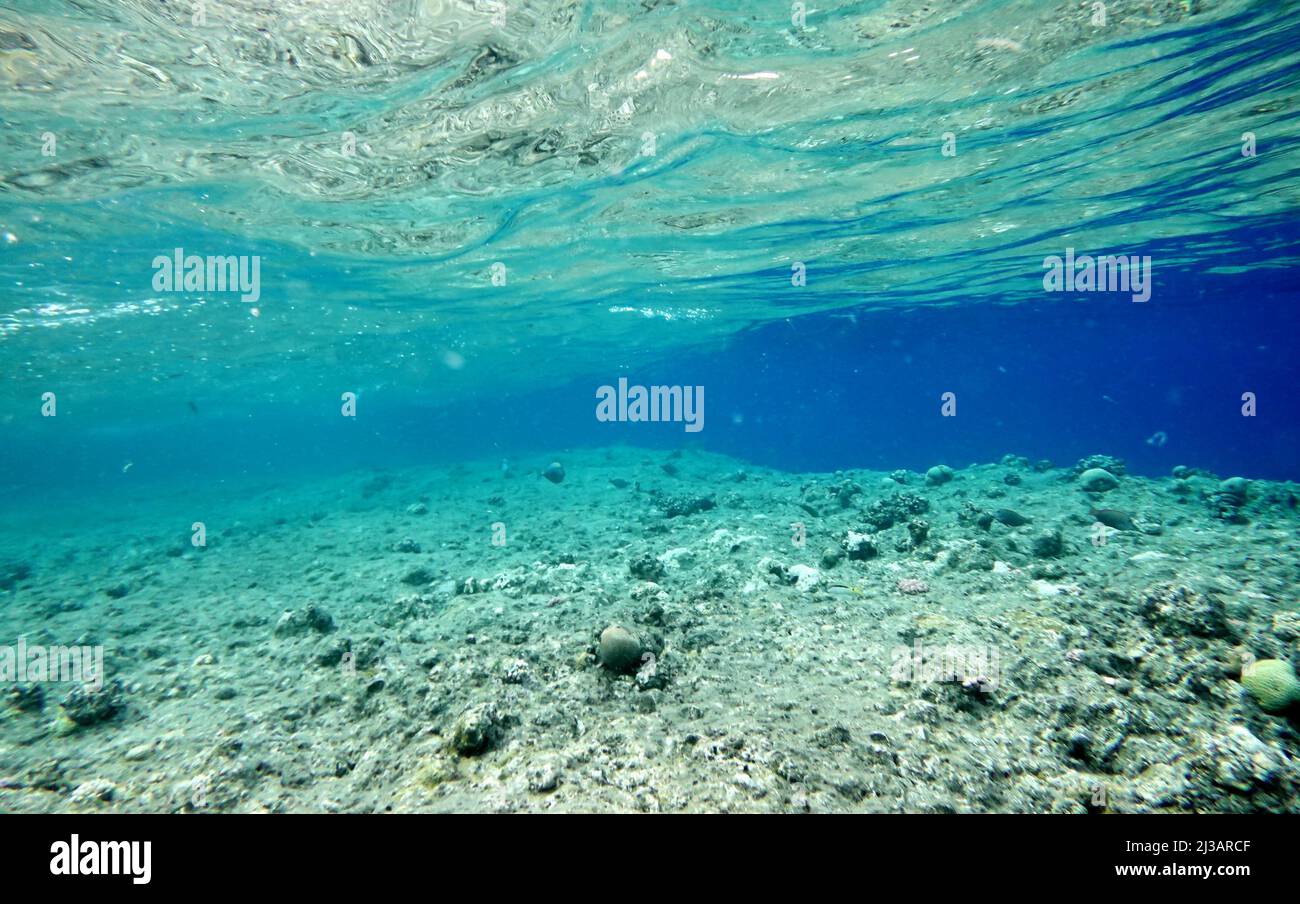 Beautiful underwater background, natural seascape Stock Photo - Alamy