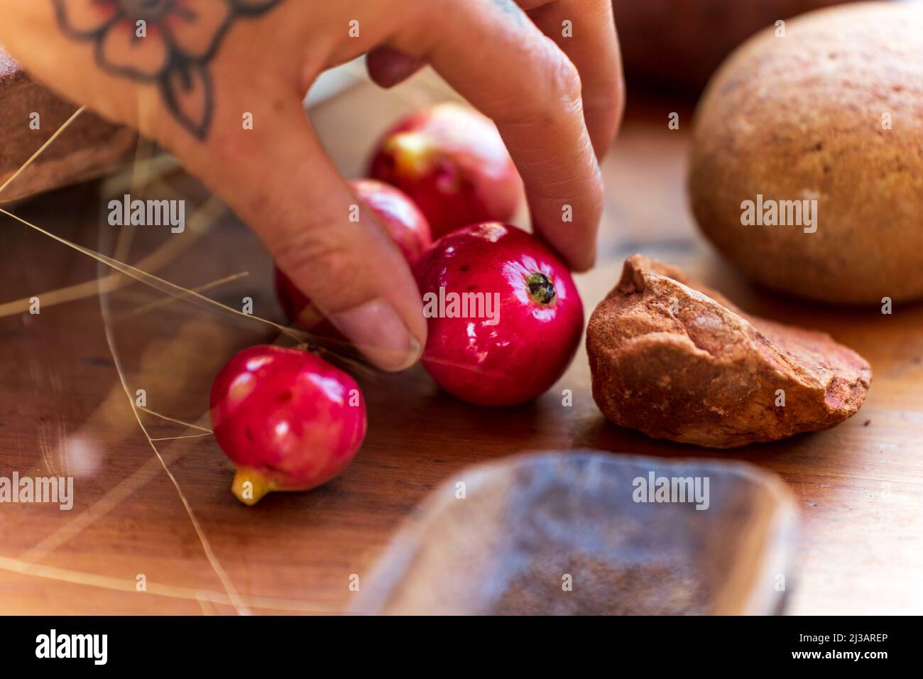 Aboriginal bush food closeup Stock Photo - Alamy