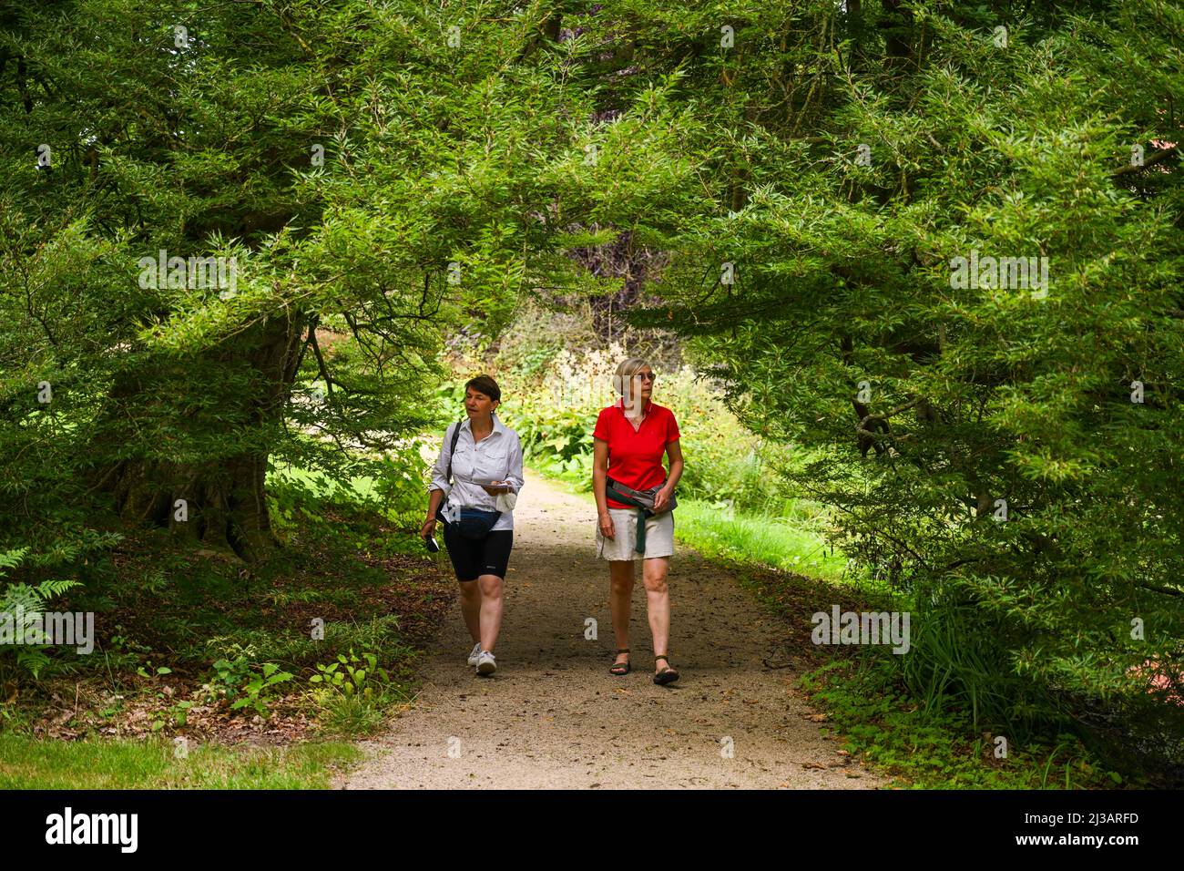 Visitors, trees, arboretum, castle park, Schwoebber Castle, Lower ...