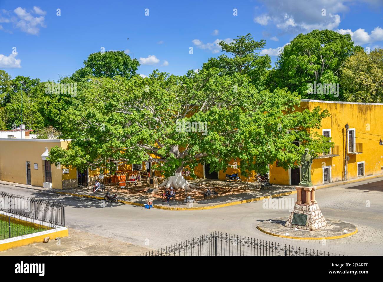 Tree, City Centre, Izamal, Yucatan, Mexico Stock Photo - Alamy