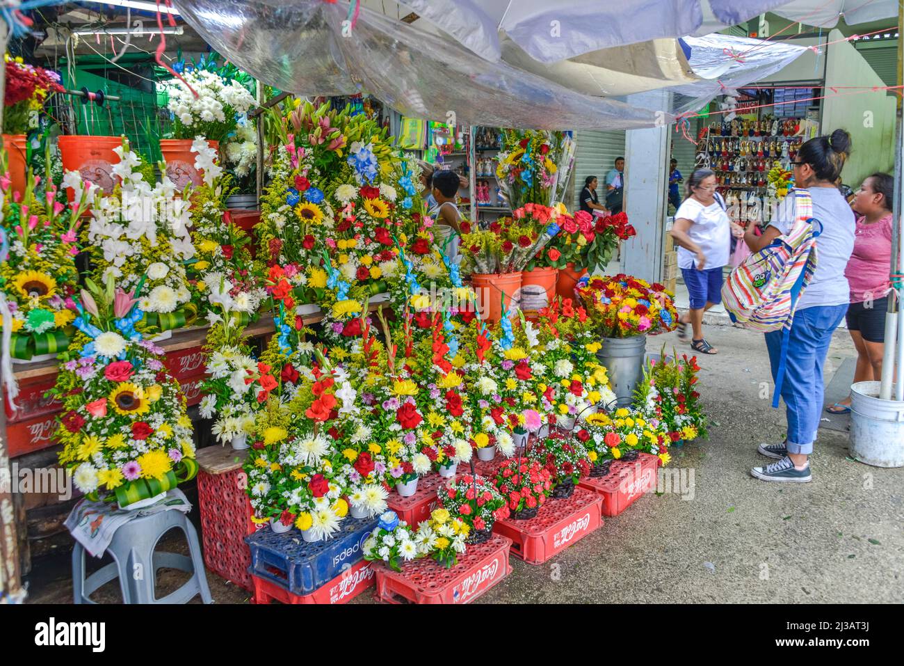 Flowers, Mercado Lucas de Galvez market, Merida, Yucatan, Mexico Stock ...