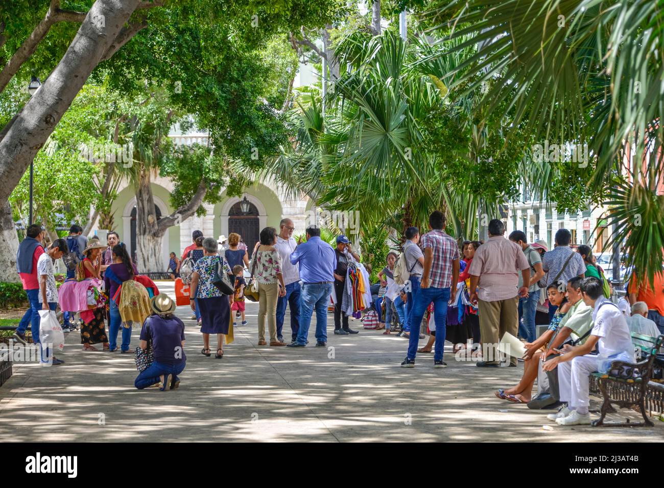 Plaza de la Independencia, Merida, Yucatan, Mexico Stock Photo - Alamy