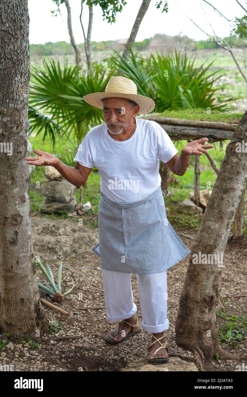 Old farmer explaining the production of sisal, agriculture Museum ...