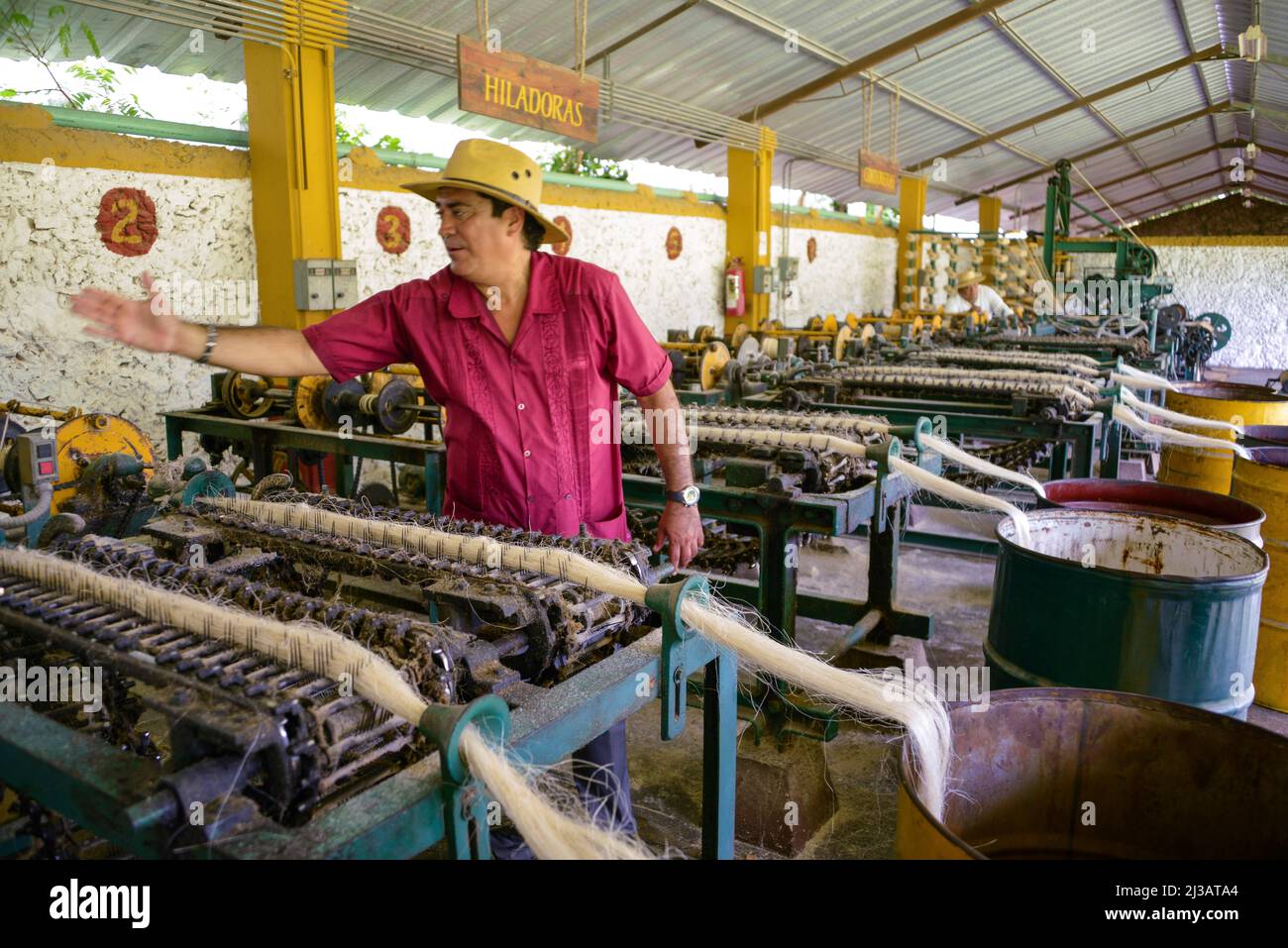Rope making, machine, agricultural museum, production of sisal fibres ...