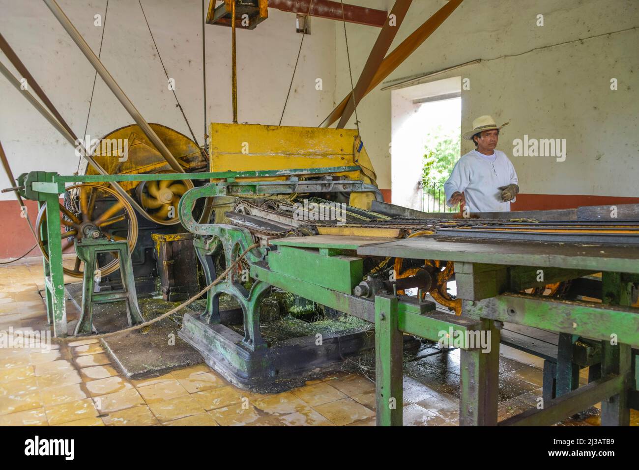 Agaves de sisal hi-res stock photography and images - Alamy