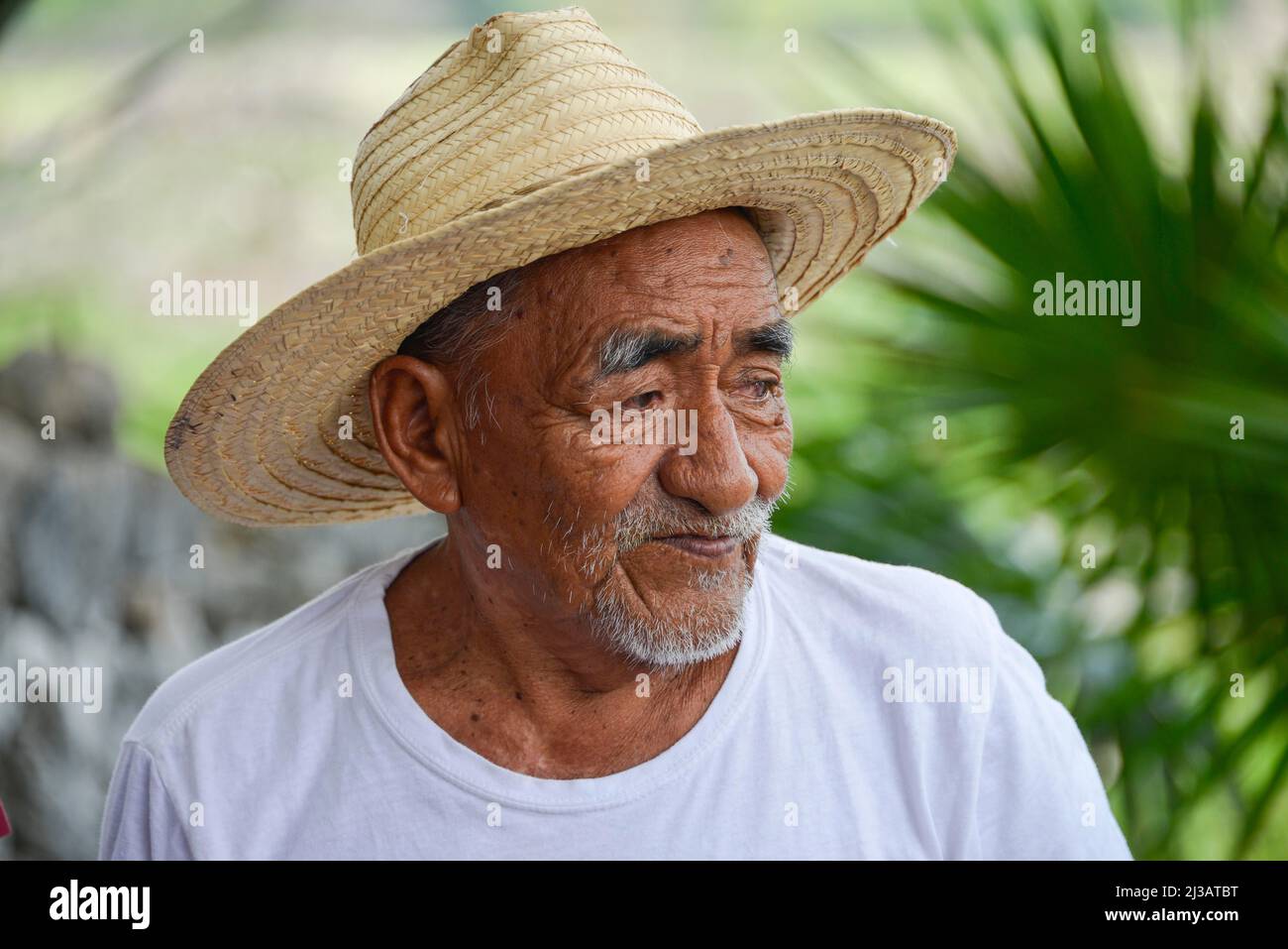 Maya agriculture hi-res stock photography and images - Alamy