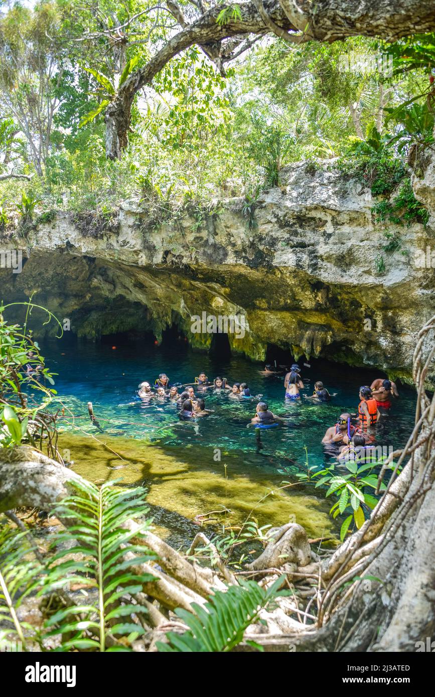 Grand Cenote, Tulum, Quintana Roo, Mexico Stock Photo - Alamy