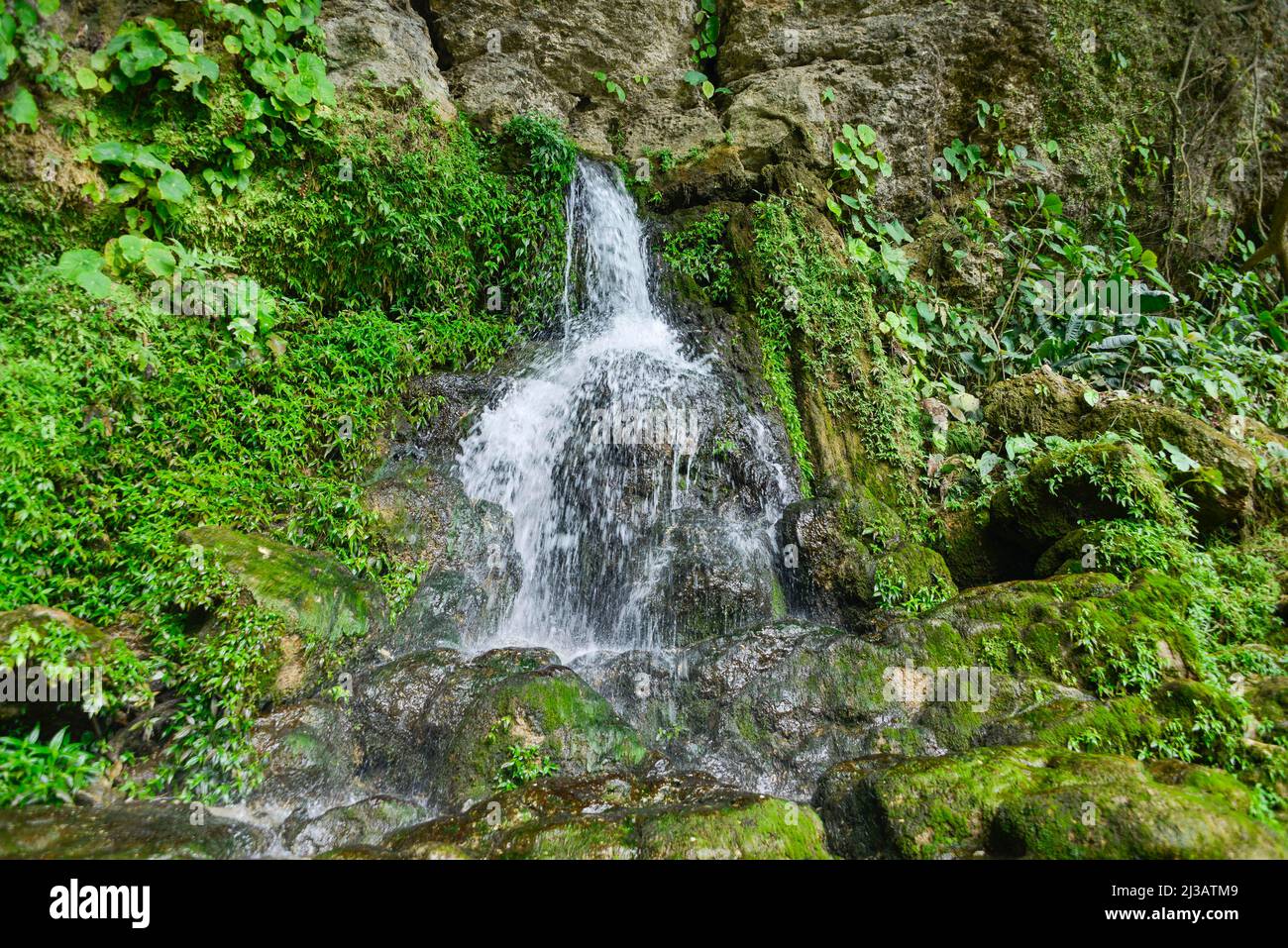 Natural spring mexico hi-res stock photography and images - Alamy