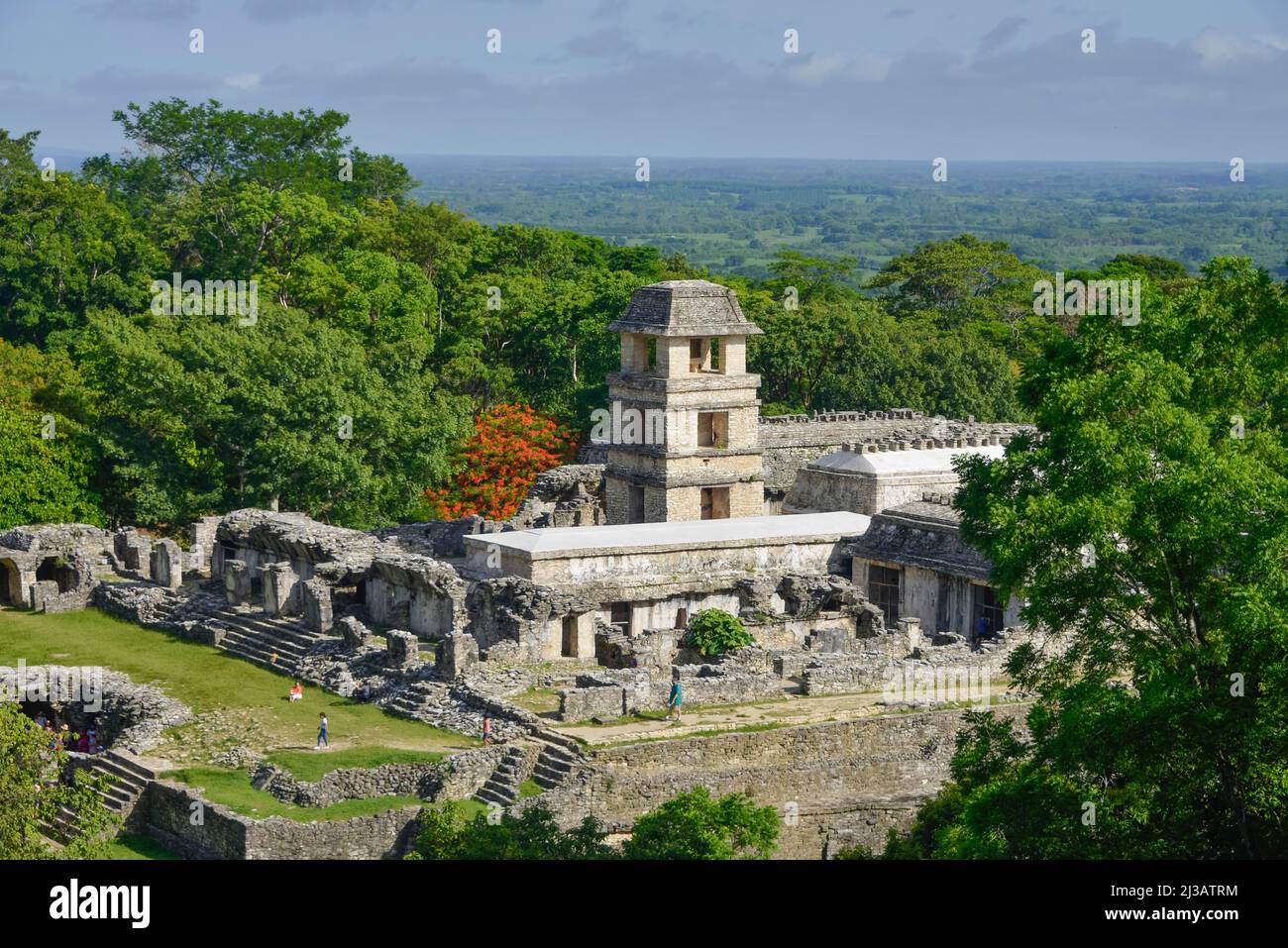 Palace (El Palacio), Mayan ruins, Palenque, Chiapas, Mexico Stock Photo ...