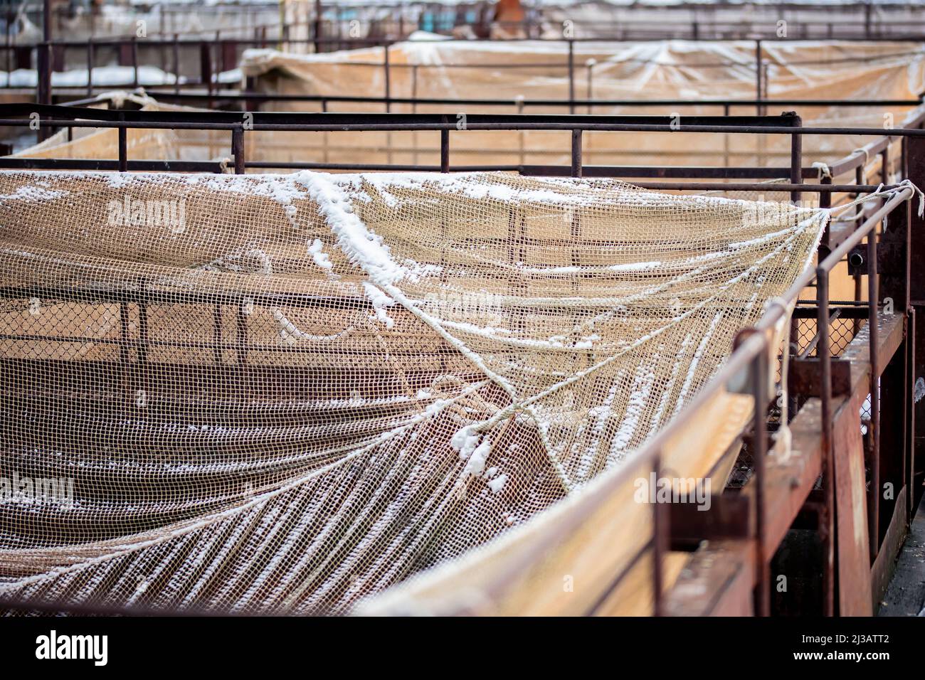 Fish farm for breeding for rainbow trout and salmon fry in net cages ...
