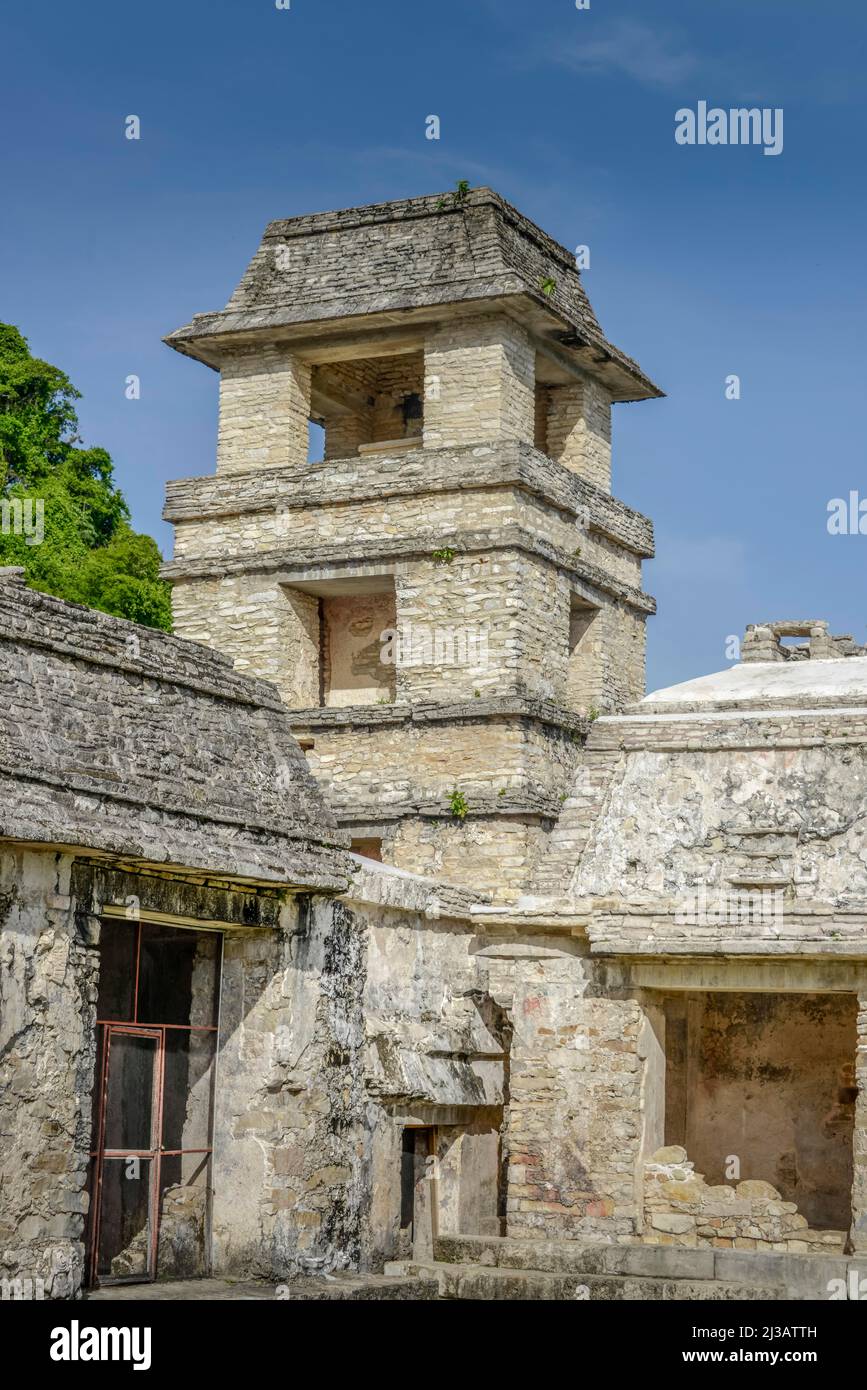 Tower, Palace (El Palacio), Mayan ruins, Palenque, Chiapas, Mexico ...