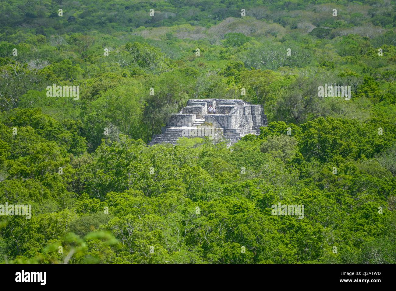 Pyramid of the North Group, Calakmul, Campeche, Mexico Stock Photo - Alamy
