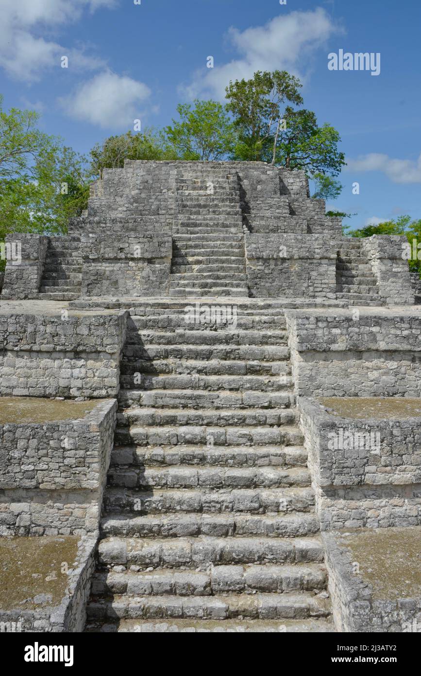 Main Pyramid Structure II, Calakmul, Campeche, Mexico Stock Photo - Alamy