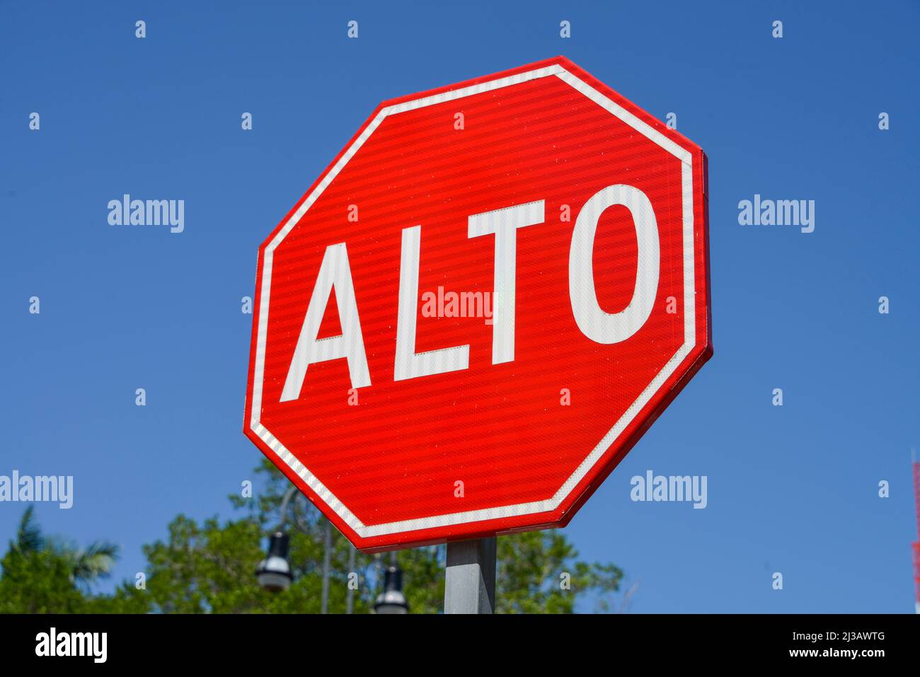 Stop sign Alto Mexico Stock Photo - Alamy