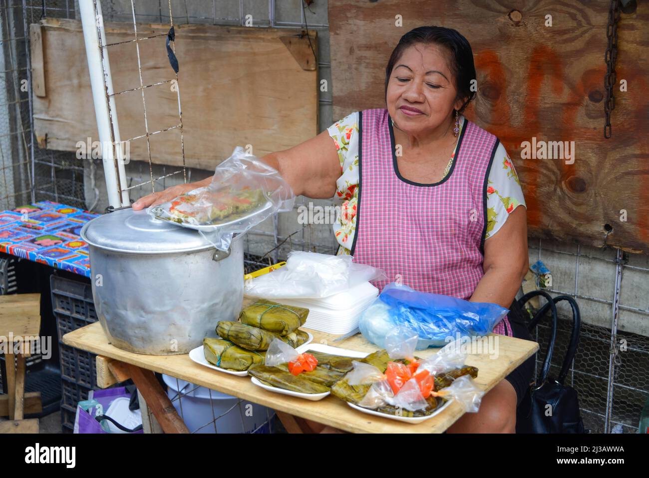 Street vending Tamale, Mexico City, Mexico Stock Photo - Alamy