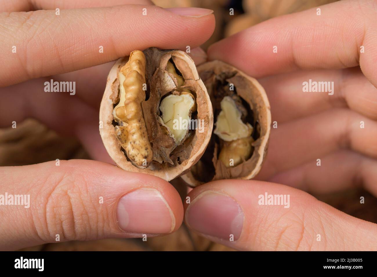 Walnut crack hand hi-res stock photography and images - Alamy
