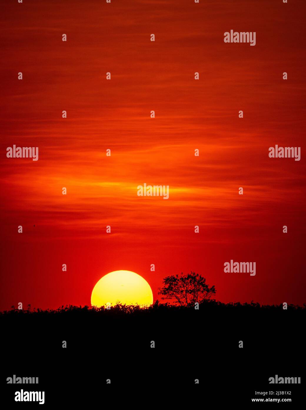 A beautiful sunset red sky across the silhouette of landscape field ...