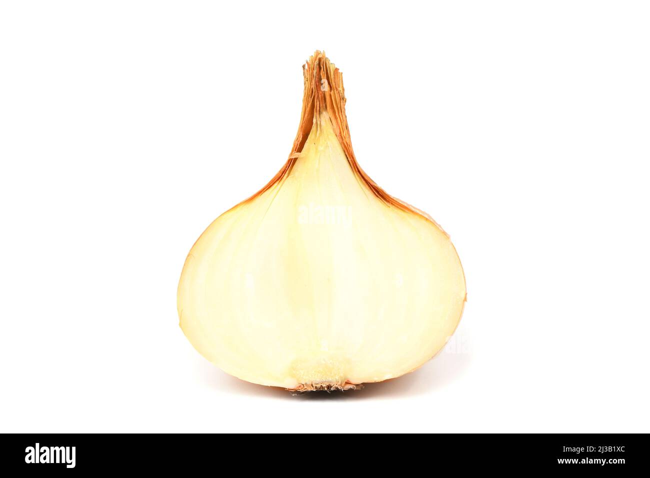 Yellow onion bulbs on white background. High resolution photo. Full ...
