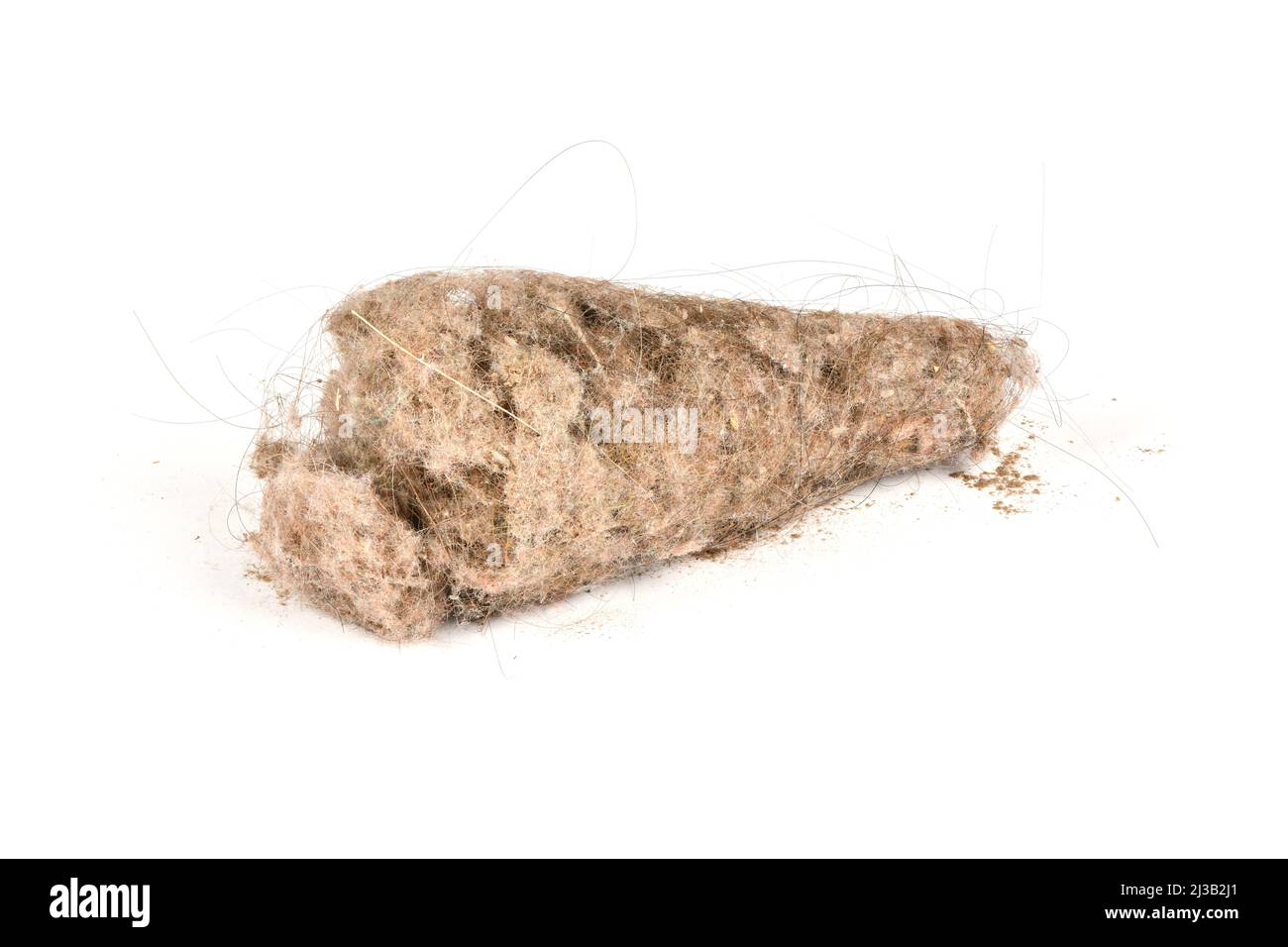 Vacuum cleaner dust isolated on white background. High resolution photo ...