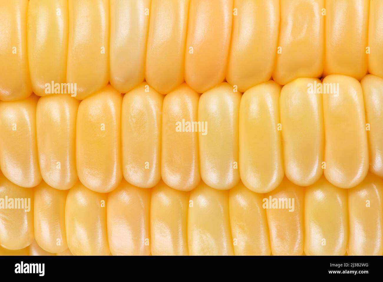 Sweet corn, boiled corn background. High resolution photo. Full depth ...