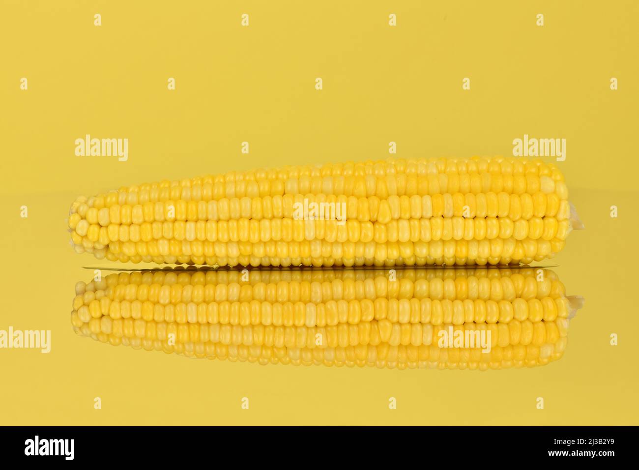 Sweet corn, boiled corn isolated on mirror background. High resolution ...