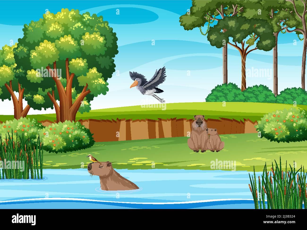 Many animal next to river illustration Stock Vector Image & Art - Alamy