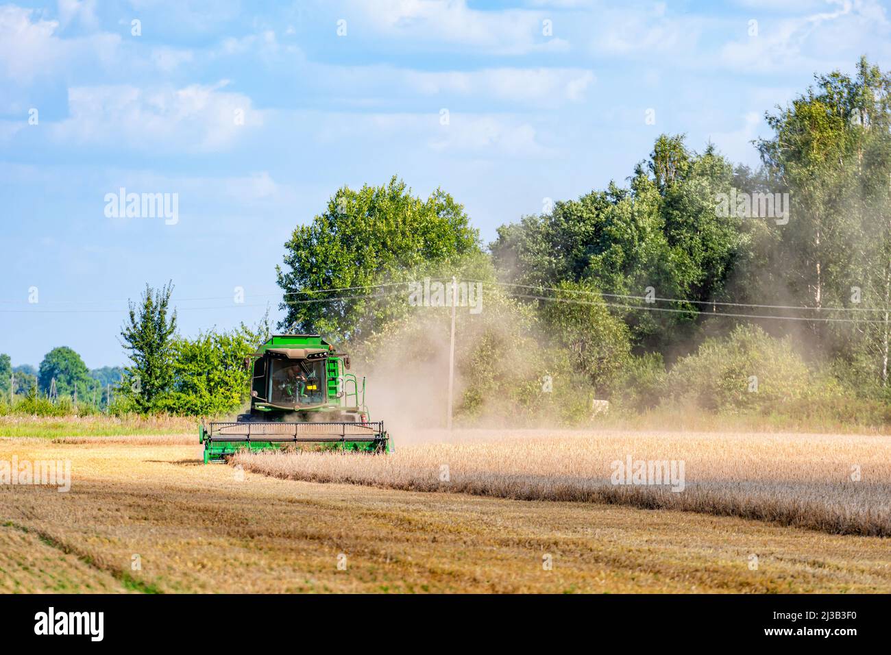 Jaunauce, Latvia, August 16, 2020: combine harvester harvesting wheat ...
