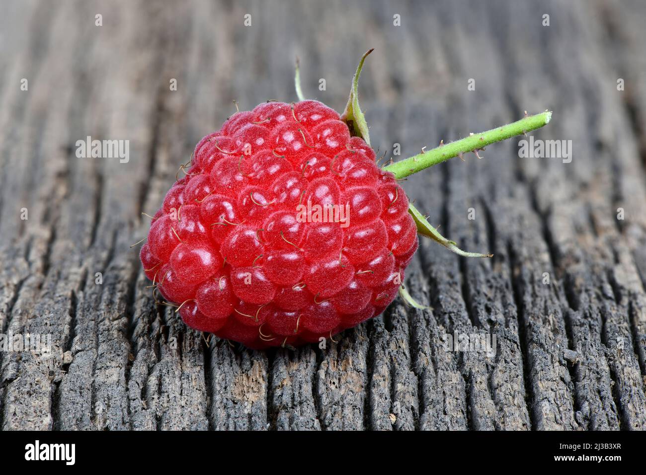 Raspberry ripe and tasty. Isolated on dark wood background. High ...