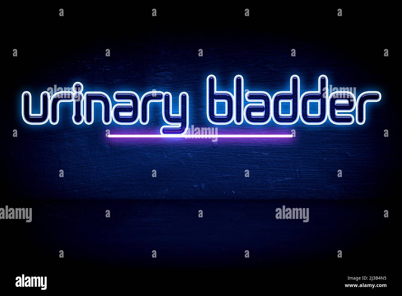 Urinary bladder - blue neon announcement signboard Stock Photo - Alamy