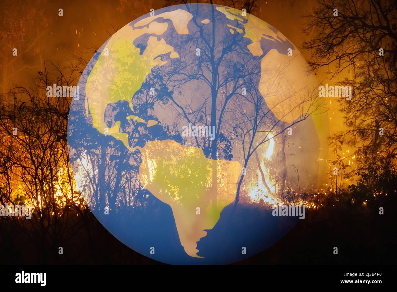 forest fire disaster is burning caused by human Stock Photo - Alamy