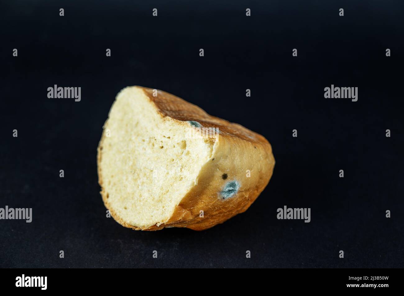 A piece of moldy bread against a black background. A stale piece of ...