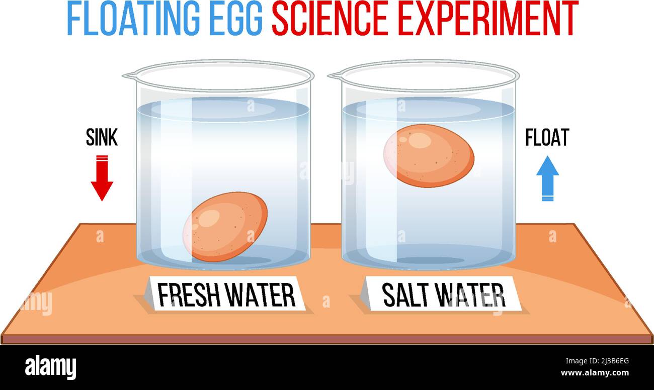 Science Experiment with test eggs for freshness illustration Stock ...