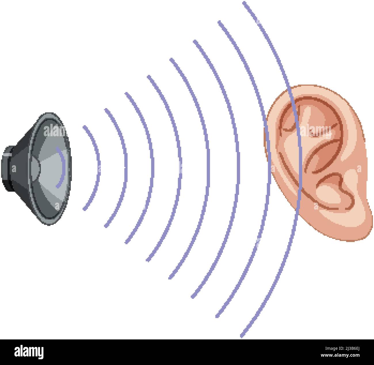 Speaker icon and ear on white background illustration Stock Vector ...