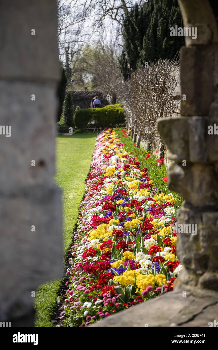 Spring flowers in a park in Lewes, England, UK Stock Photo - Alamy