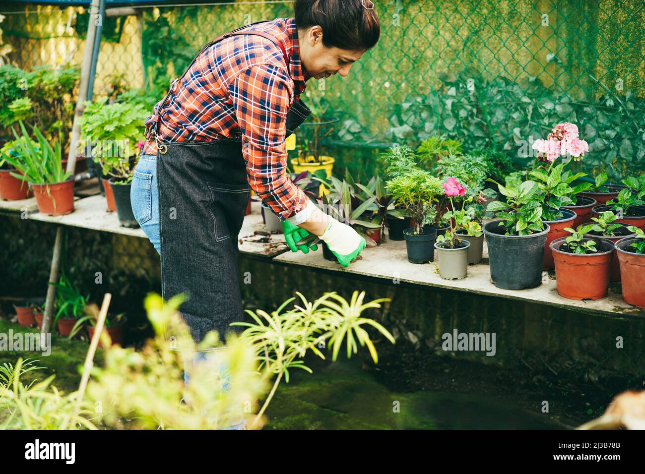 Woman inside greenhouse hi-res stock photography and images - Alamy