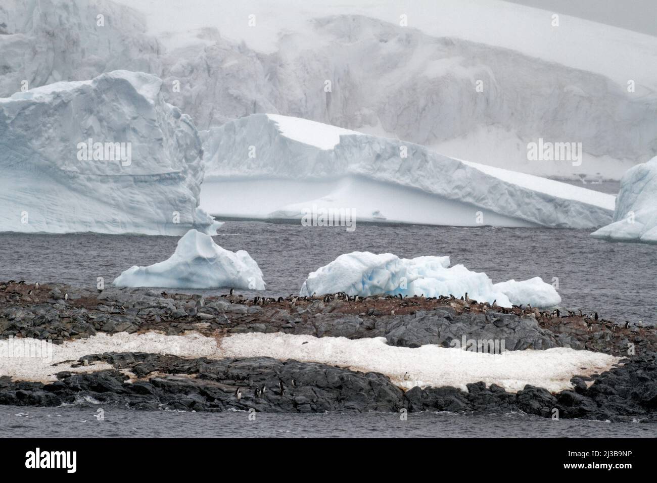 Antarctica - Coastline of Antarctica With Ice Formations - Antarctic ...