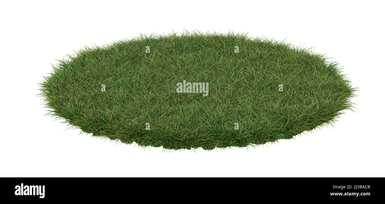A round patch of grass, isolated on white background. 3d image Stock ...